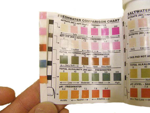 Water Test Strips - Check Water For Chlorine, PH, Hardness, Nitrates ...